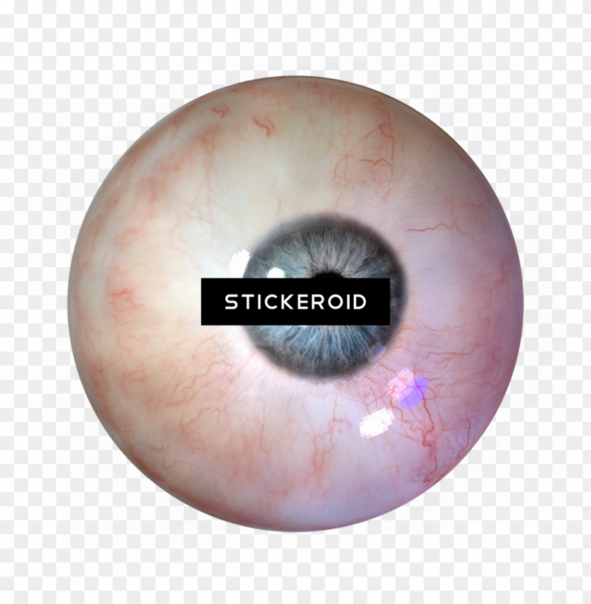 Free download | HD PNG human eye circle PNG transparent with Clear ...