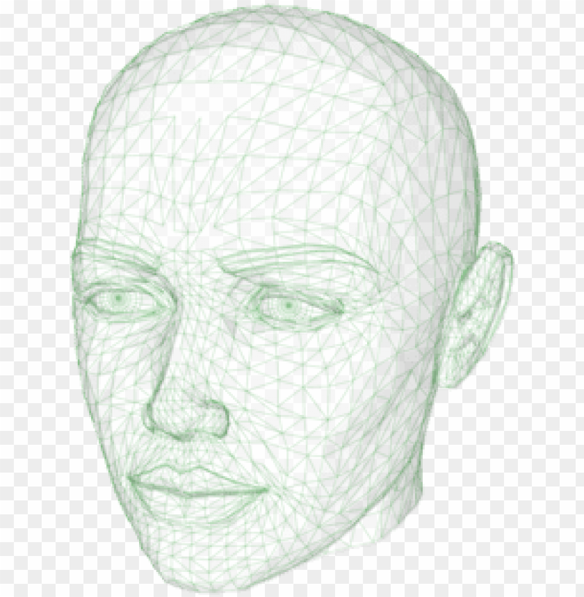Free download | HD PNG human head face forehead drawing outline of the ...