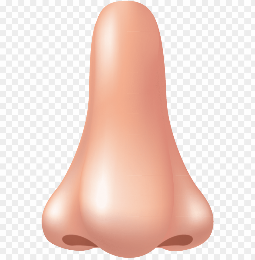 Free download | HD PNG realistic human nose close up illustration ...