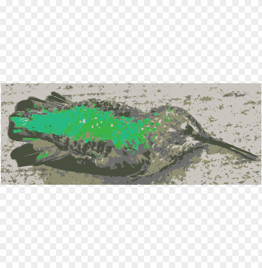 Free download | HD PNG hummingbird death computer icons tree painting ...