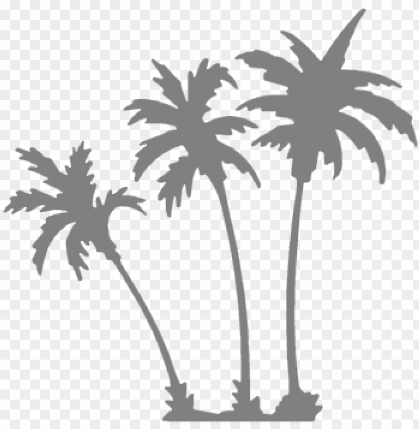 Free download | HD PNG icons palm trees grey grey palm tree PNG ...