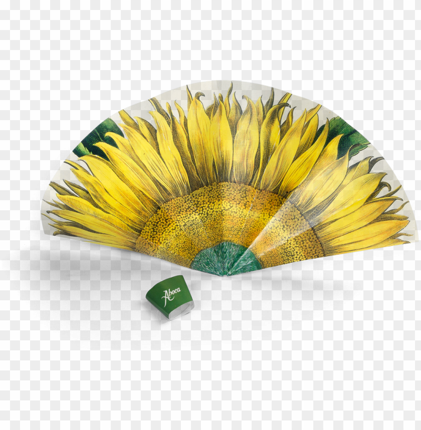 Free download | HD PNG icture of flower fan sunflower large sunflower ...