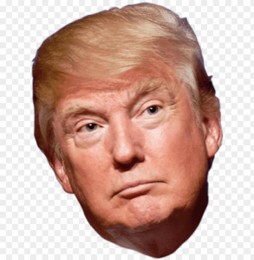 Open Book Scroll cutout PNG & clipart images | TOPpng