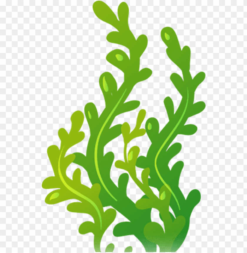 Download image title - seaweed clipart png - Free PNG Images | TOPpng