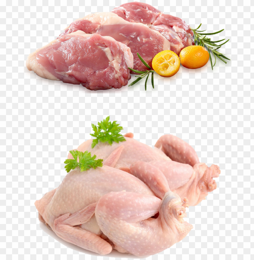 Free download | HD PNG image turkey meat PNG transparent with Clear ...