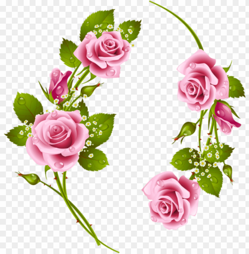 Free download | HD PNG in by carmen dungan on flowers pinterest flowers ...