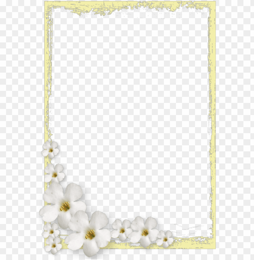 Free download | HD PNG in by rt digital media marketing on frames ...