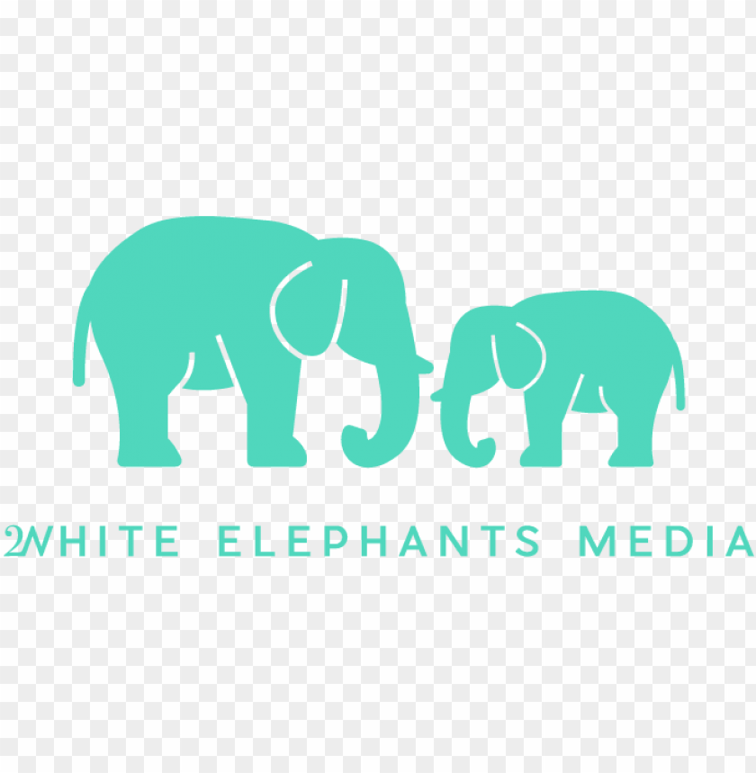 Free download | HD PNG indian elephant PNG transparent with Clear ...