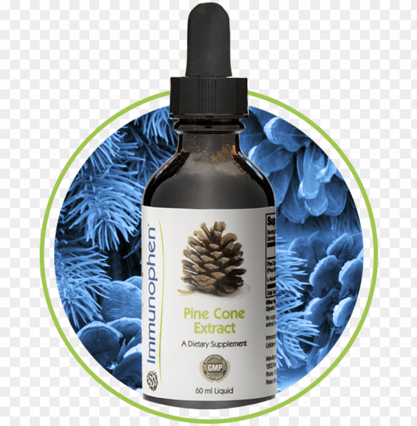 Free download | HD PNG ine cone extract prescott college PNG ...