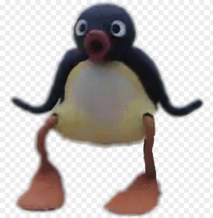 Free download | HD PNG ingu sticker pingu noot noot PNG transparent ...