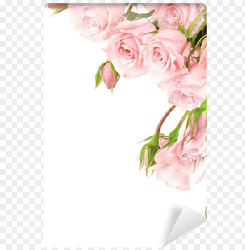 Free download | HD PNG ink rose border clipart PNG transparent with ...