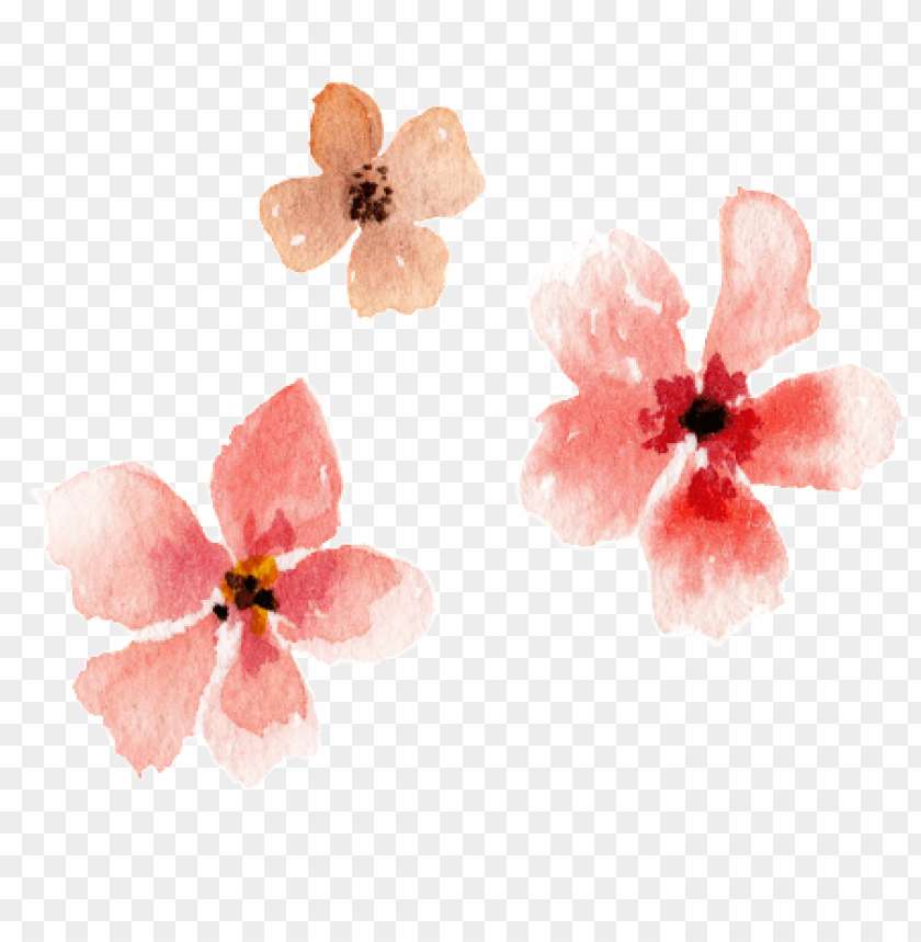 Free download | HD PNG ink watercolor hand painted flower transparent ...