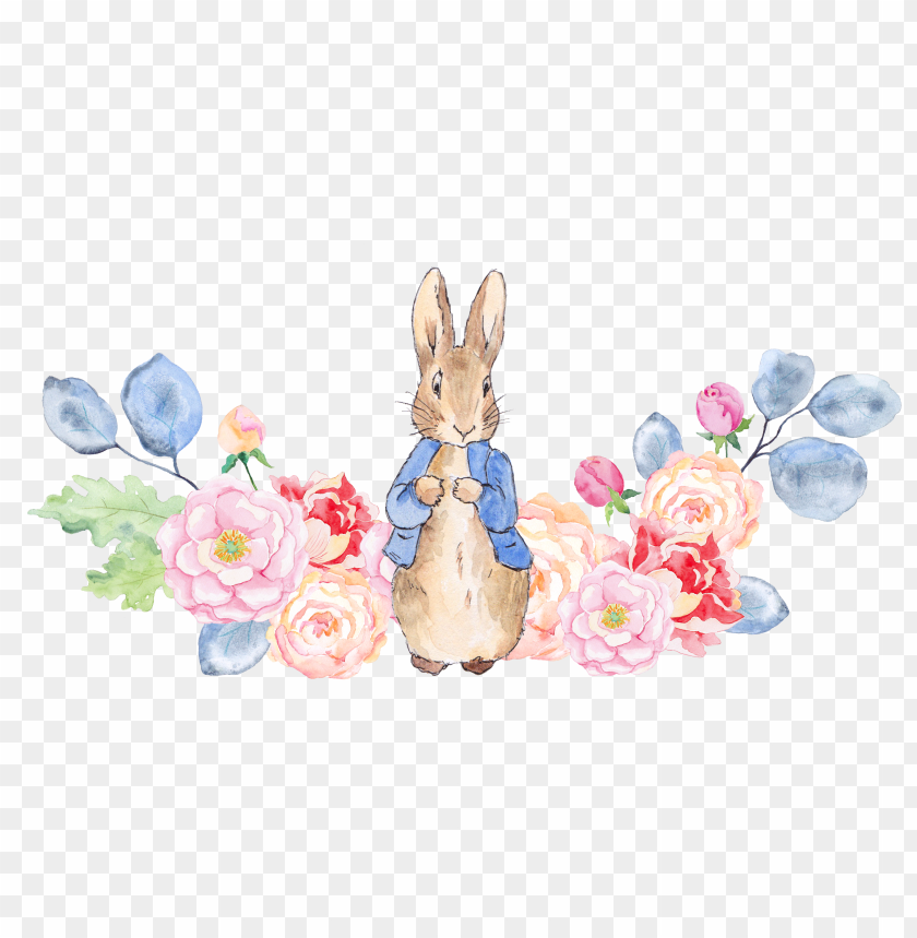Free download | HD PNG ion123 peter rabbit watercolor elements PNG ...