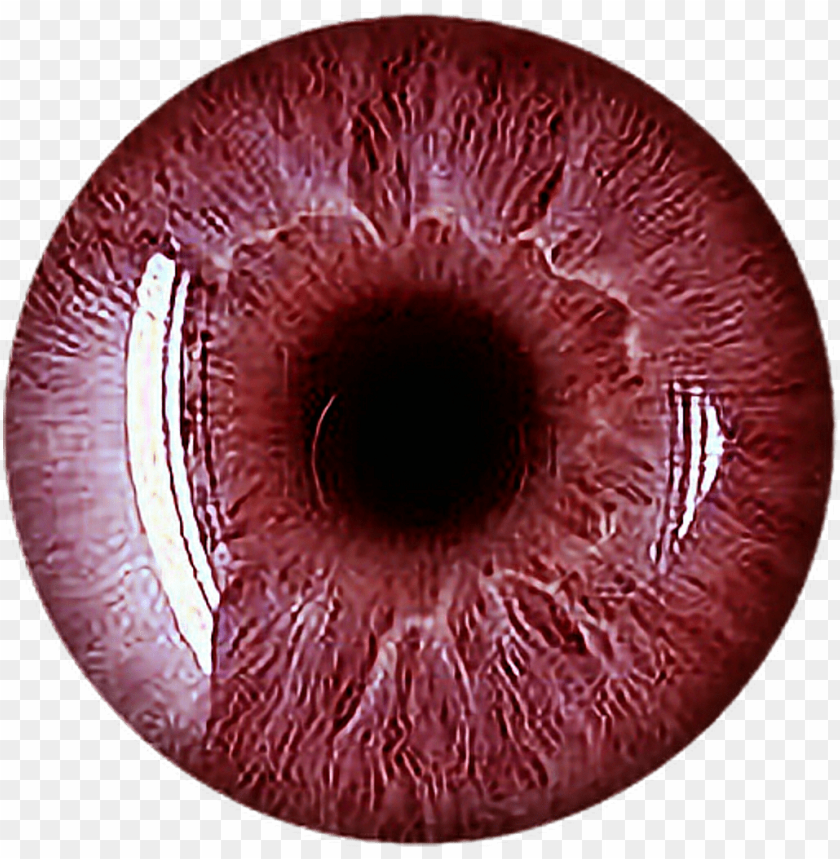 Free download | HD PNG iridology healthy eye PNG transparent with Clear ...