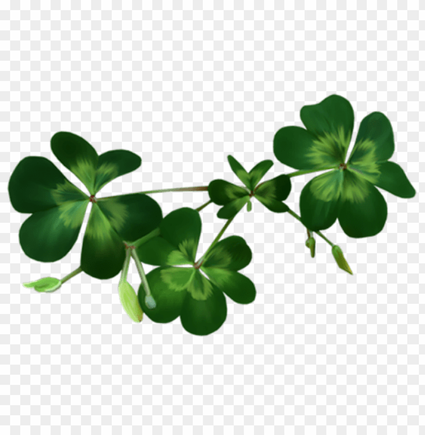 Free download | HD PNG irish shamrocks png images background - image ID ...