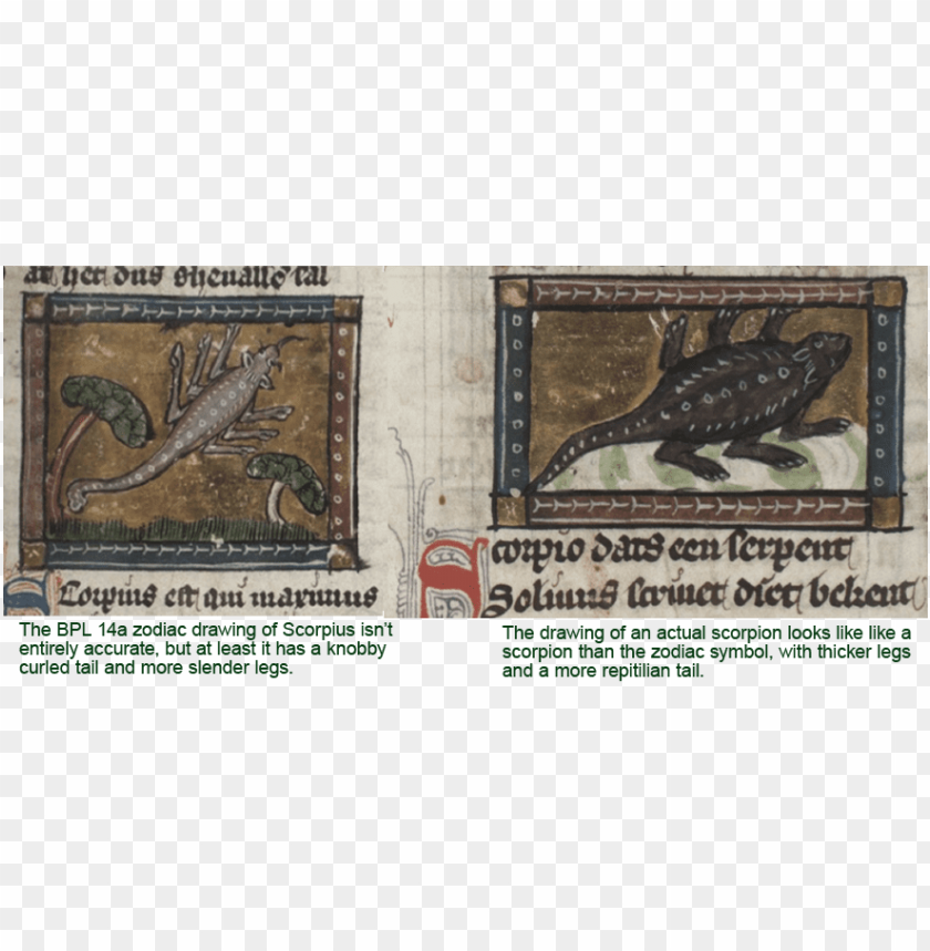 Free download | HD PNG it seems possible that the illustrators of bpl ...
