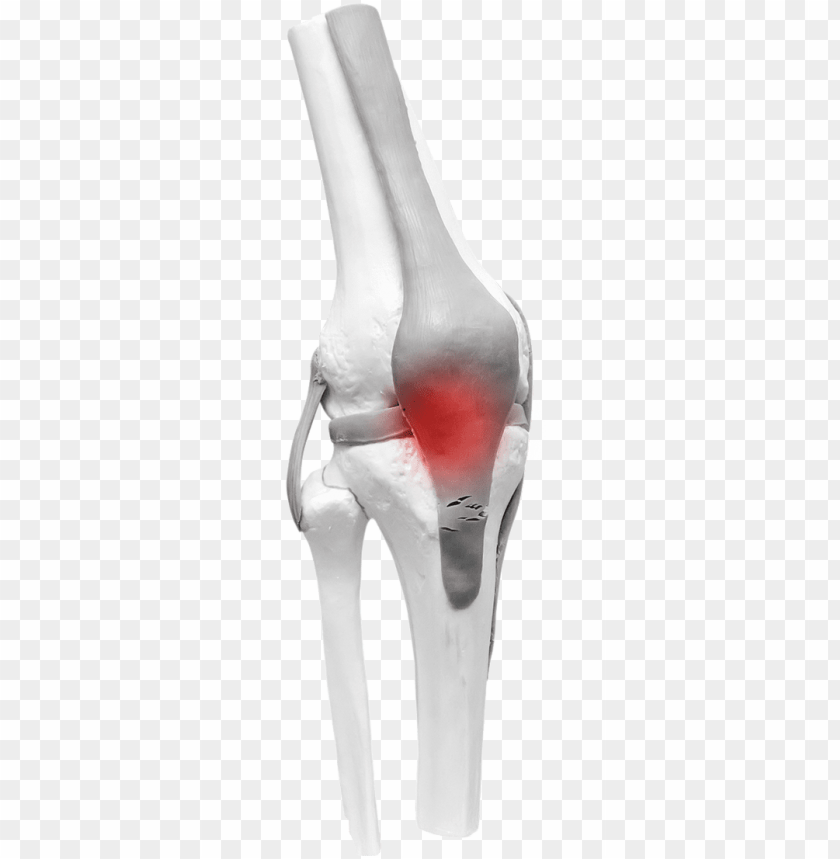 Free download | HD PNG joint png PNG transparent with Clear Background ...