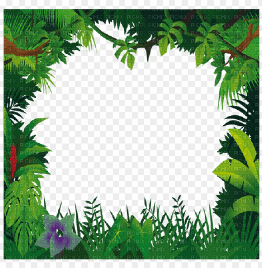 Jungle Border Clipart