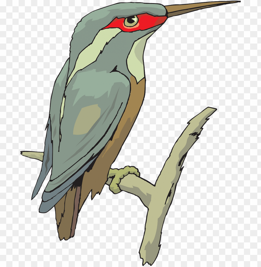 Free download | HD PNG king fisher PNG transparent with Clear ...