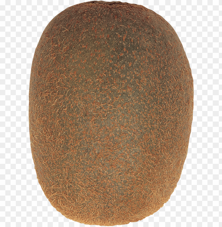 Free download | HD PNG whole brown kiwi fruit with fuzzy skin png PNG ...