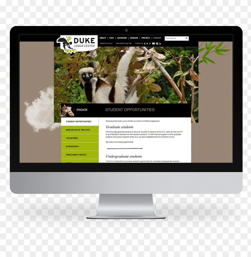 Free download | HD PNG kompleks web design duke university lemur center ...