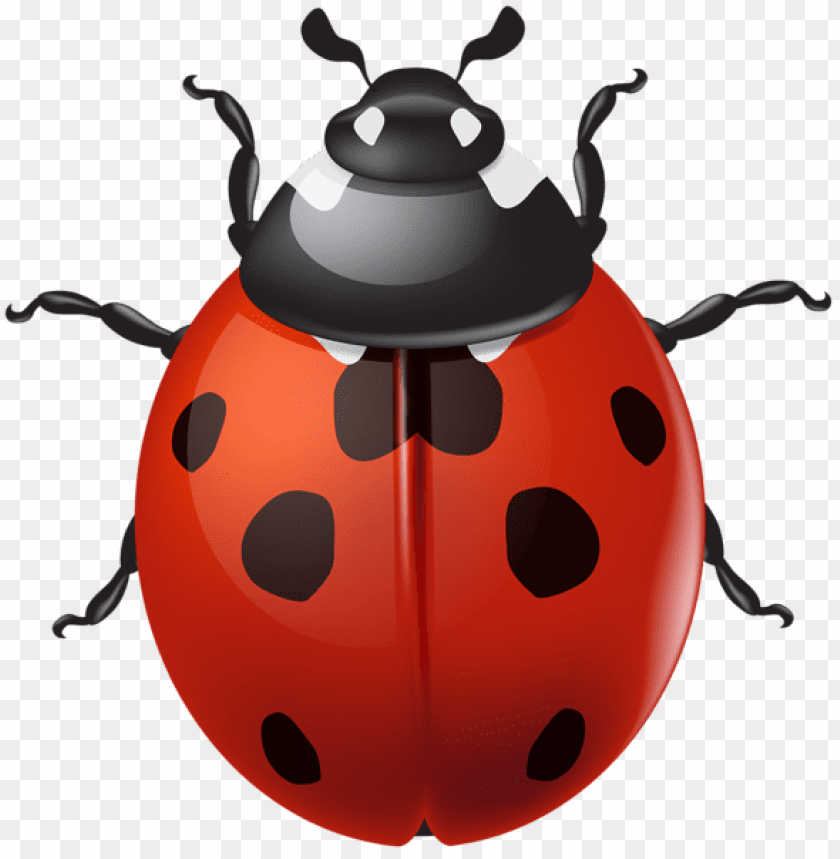 Free download | HD PNG PNG image of ladybird png with a clear ...