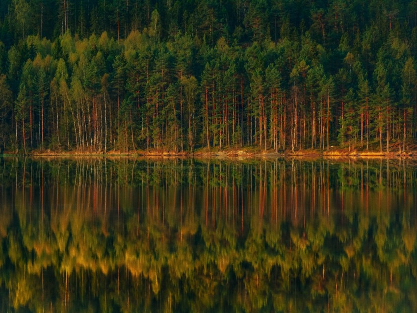 Free download | HD PNG lake forest reflection trees shore landscape 4k ...