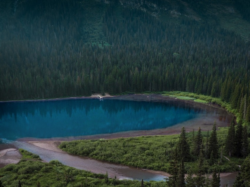 Free download | HD PNG lake forest shore slope landscape 4k wallpaper ...