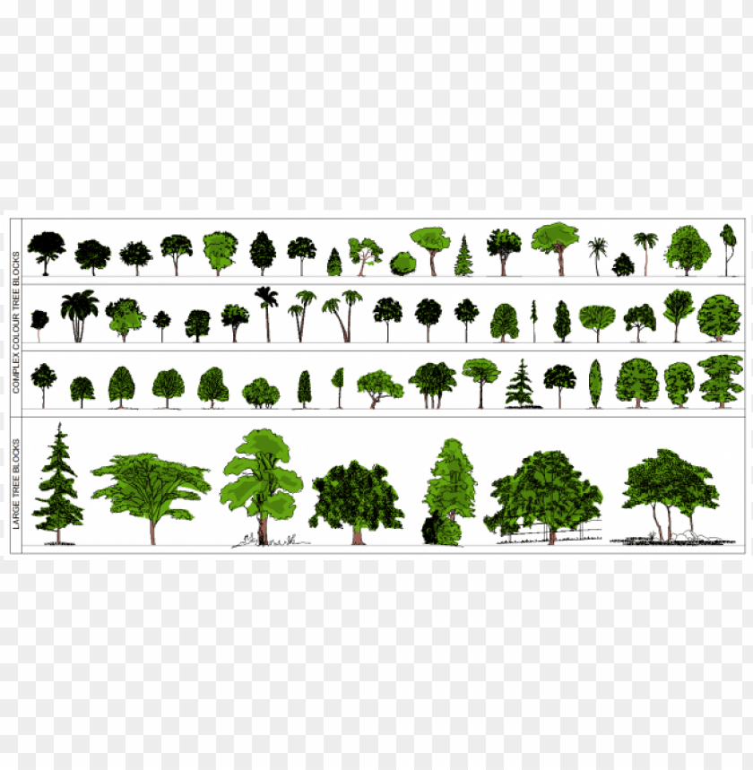 Free download | HD PNG lan and elevation of trees PNG transparent with ...
