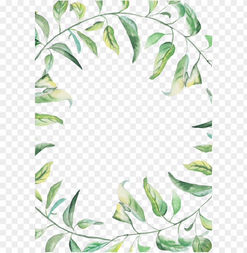 Free download | HD PNG lant border PNG transparent with Clear ...