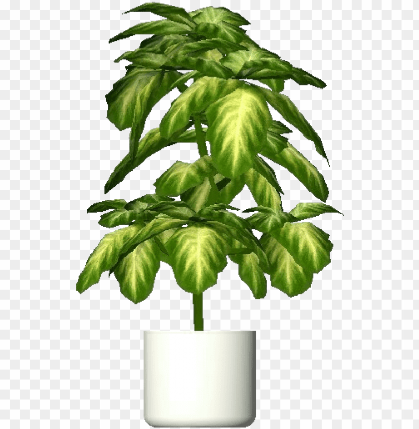 Free download | HD PNG lantas 3d aglaonema crispum planta aglaonema PNG ...