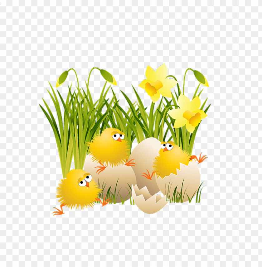 Free download | HD PNG large easter chicks png images background ...