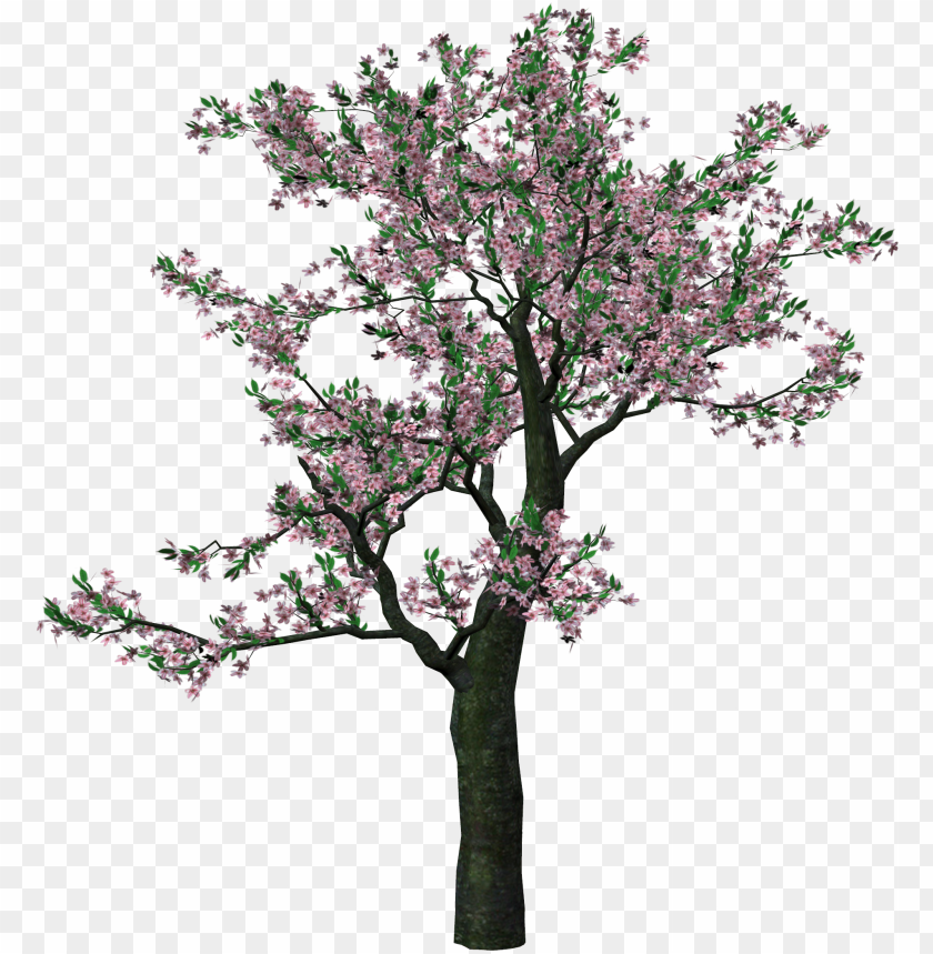 Free download | HD PNG large spring tree clipart spring trees PNG ...