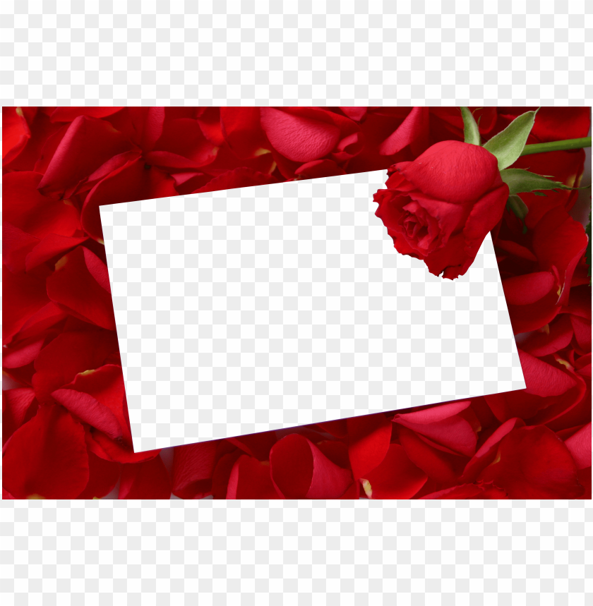 Free download | HD PNG large transparent horizontal frame with red ...