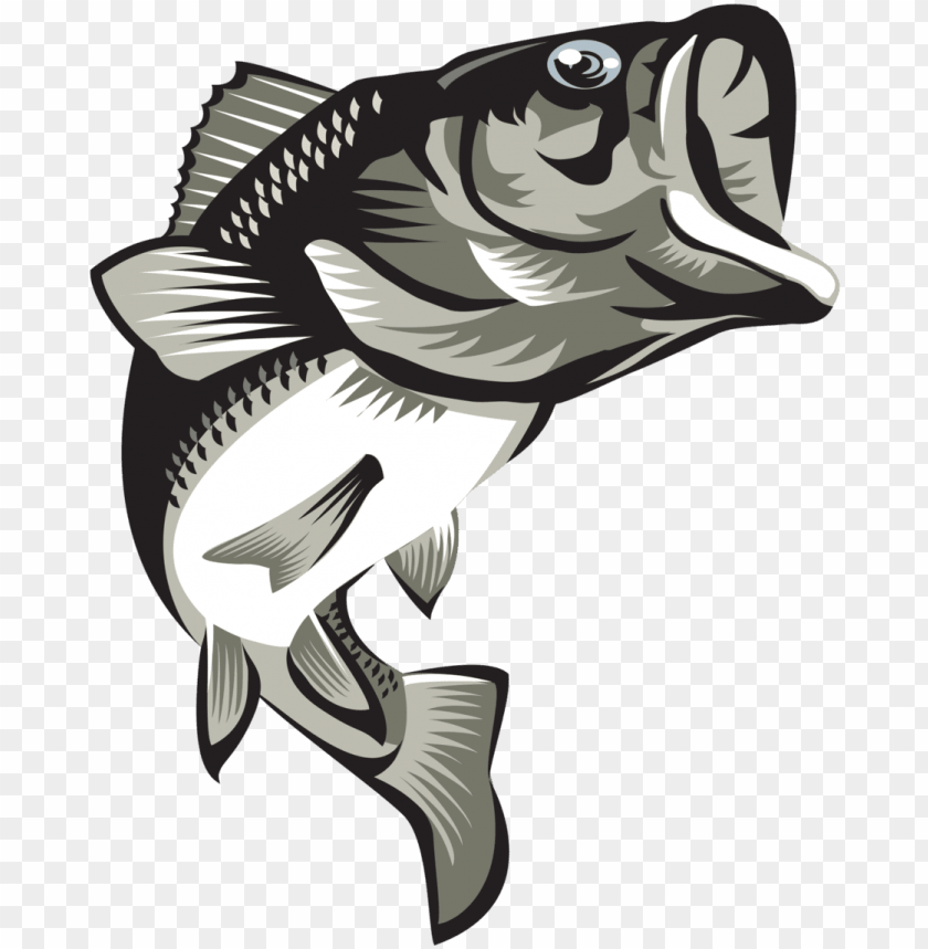 Free download | HD PNG largemouth bass final2coloured PNG transparent ...