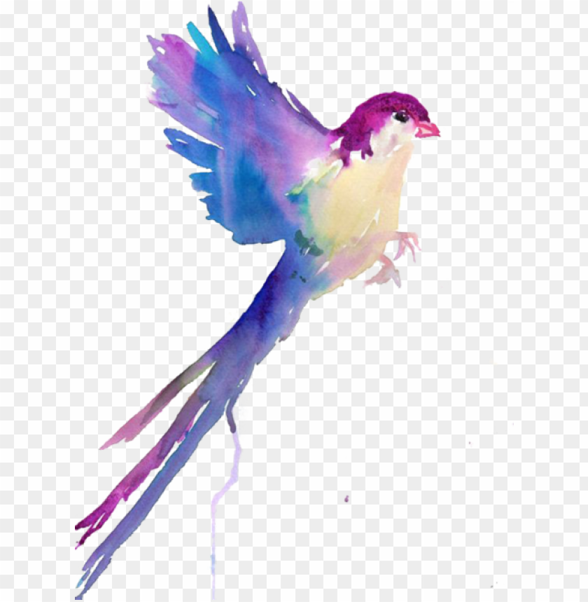 Free download | HD PNG largest collection of free to edit colorful ...