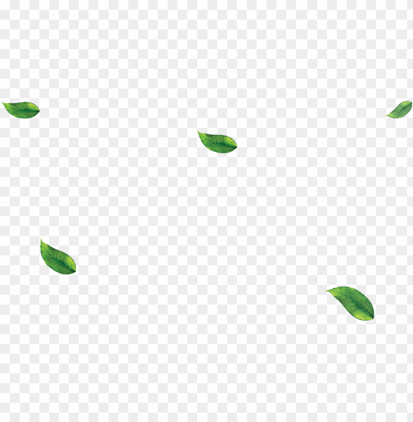 Free download | HD PNG leaf PNG transparent with Clear Background ID ...