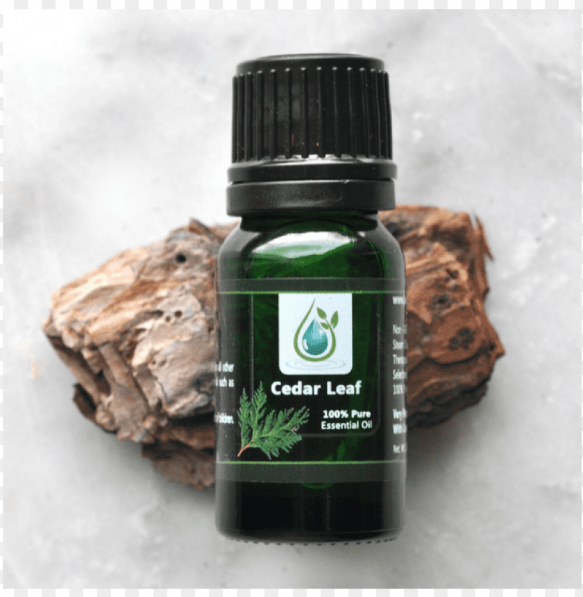 Free download | HD PNG leaf cedar 100 pure essential oil 100 pure ...
