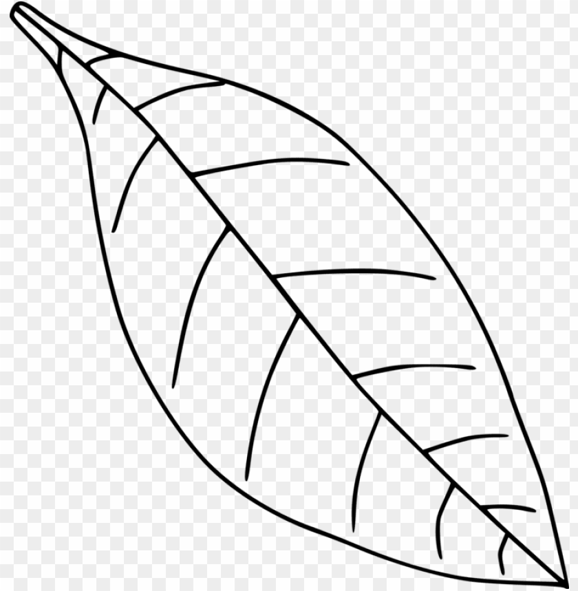 Free download | HD PNG leaf drawing transparent PNG transparent with ...