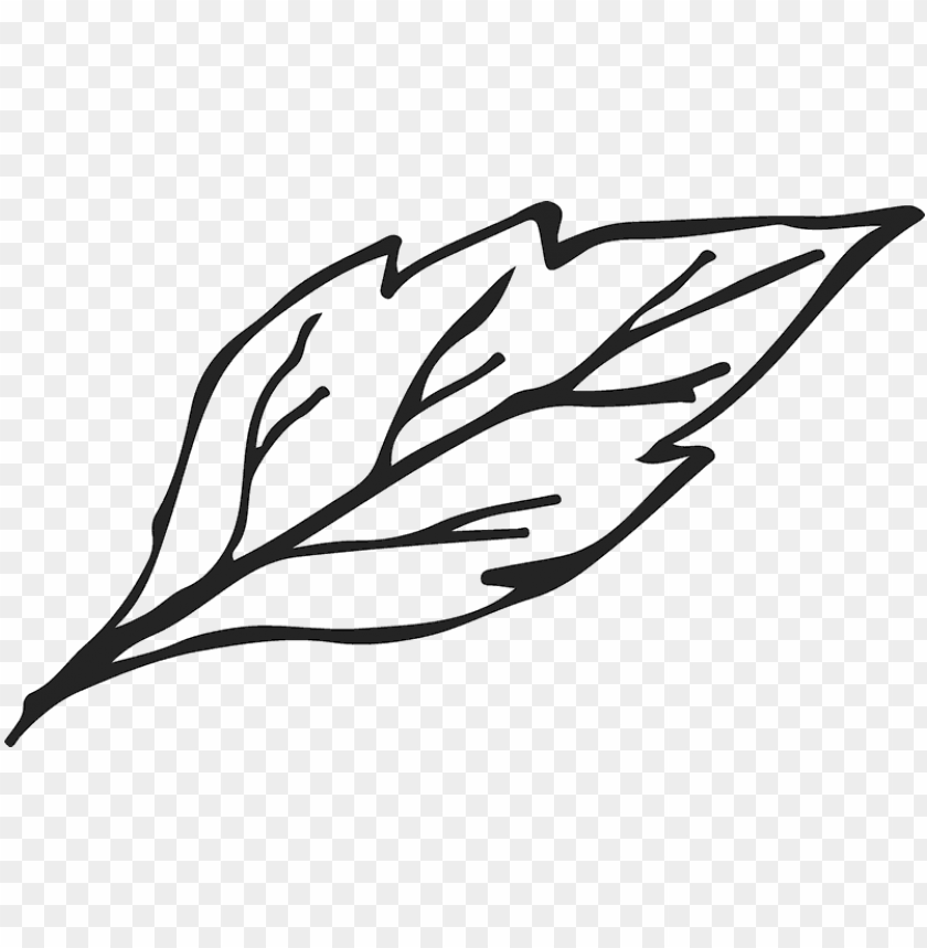 Free download | HD PNG leaf sketch rubber stamp leaf png transparent ...