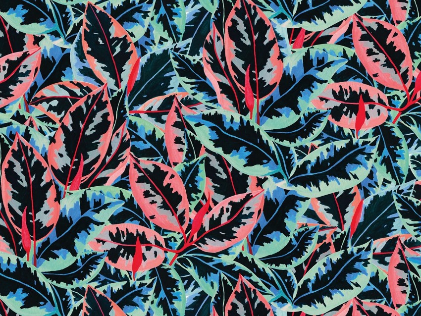 Free download | HD PNG leaves pattern patterns colorful 4k wallpaper ...