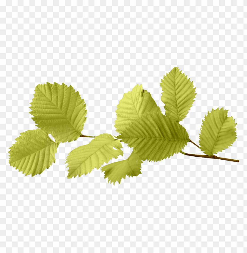 Free download | HD PNG leaves png images Background - image ID is ...