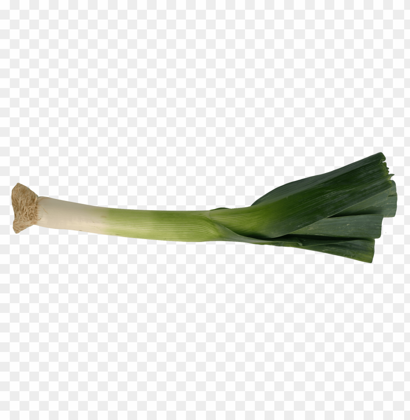 Free download | HD PNG leek PNG images with transparent backgrounds ...