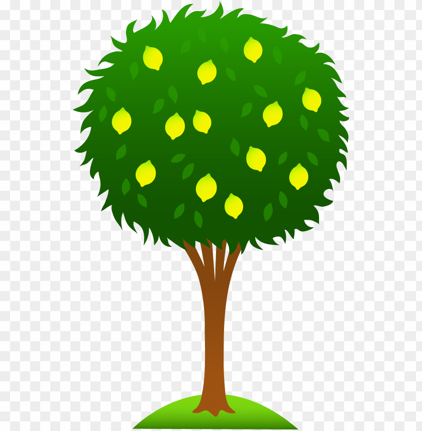 Free download | HD PNG lemon tree PNG transparent with Clear Background ...