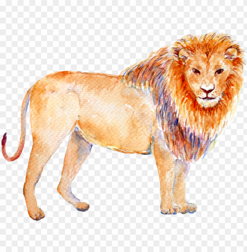 Free download | HD PNG leo astrological sign animals PNG transparent ...