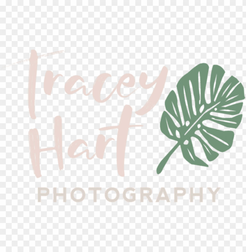 Free download | HD PNG library PNG transparent with Clear Background ID ...