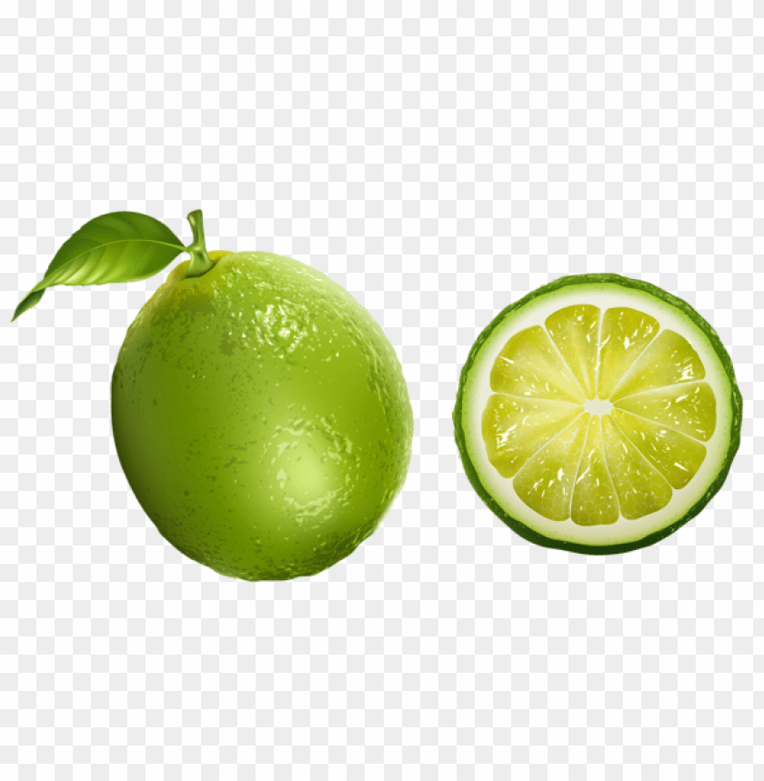 Free download | HD PNG single lime with cross section slice | TOPpng