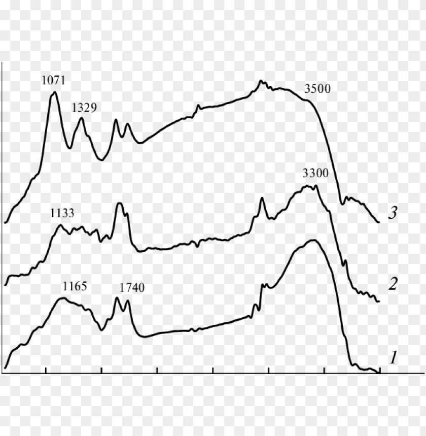 Free download | HD PNG line art PNG transparent with Clear Background ...