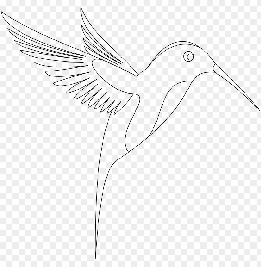 Free download | HD PNG line art of birds PNG transparent with Clear ...