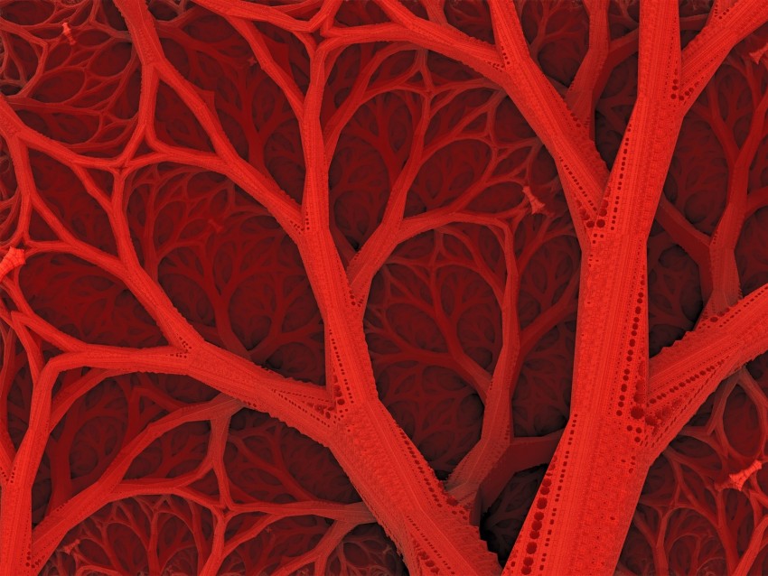 Free download | HD PNG lines structure red forms 4k wallpaper | TOPpng